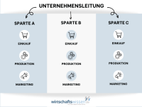 Spartenorganisation: Aufbau, Sparten, Vorteile & Nachteile